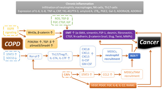JCM | Free Full-Text | Chronic Obstructive Pulmonary Disease ...