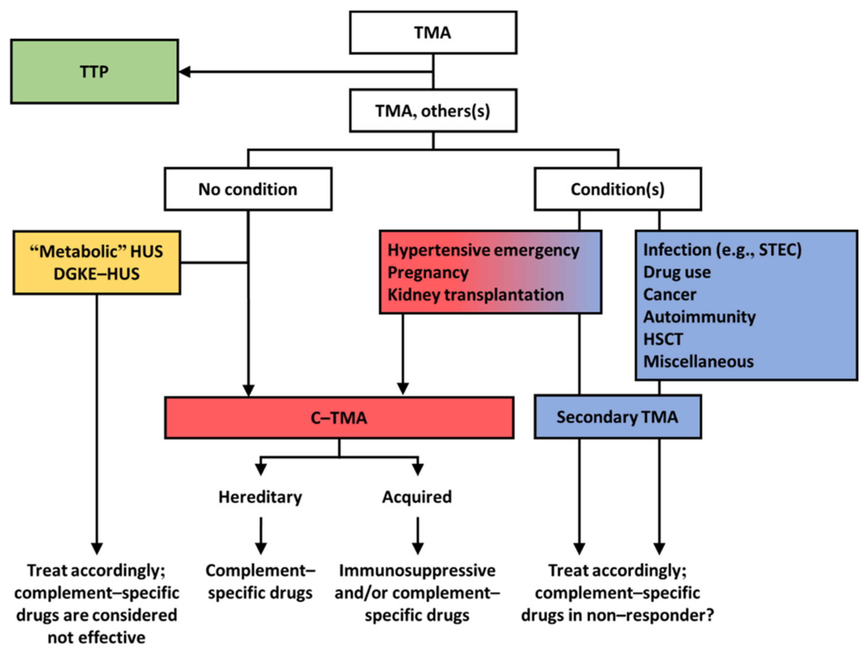 The Syndromes of Thrombotic Microangiopathy: A Critical Appraisal on ...