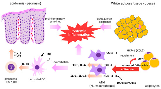 Molecular Pathogenesis of Psoriasis and Biomarkers Reflecting Disease ...