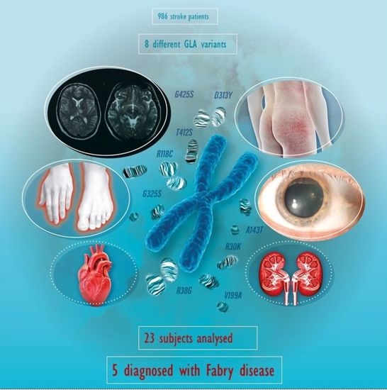 JCM | Free Full-Text | Detailed Phenotype of GLA Variants Identified by ...