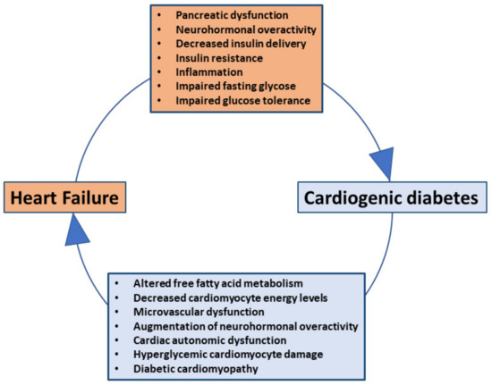 Diabetes Mellitus and Heart Failure