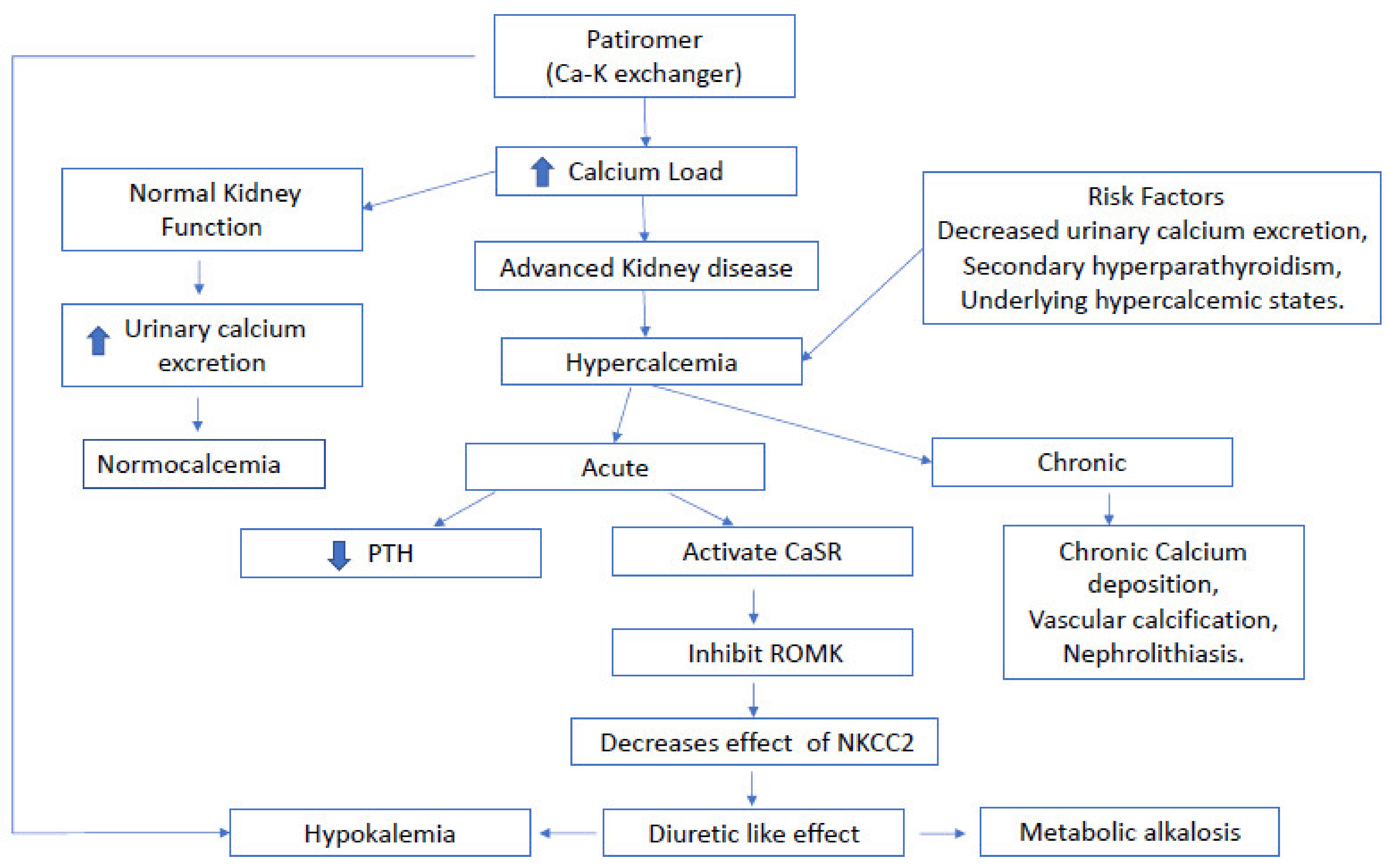 A Rare Case of Patiromer Induced Hypercalcemia