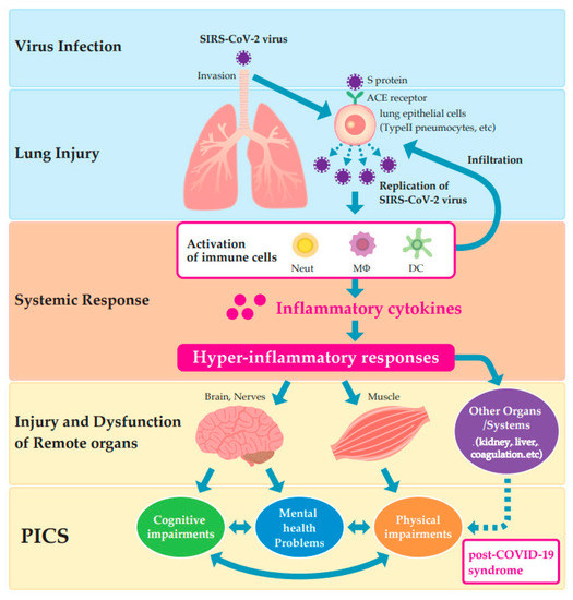 Post-Intensive Care Syndrome and Its New Challenges in Coronavirus ...
