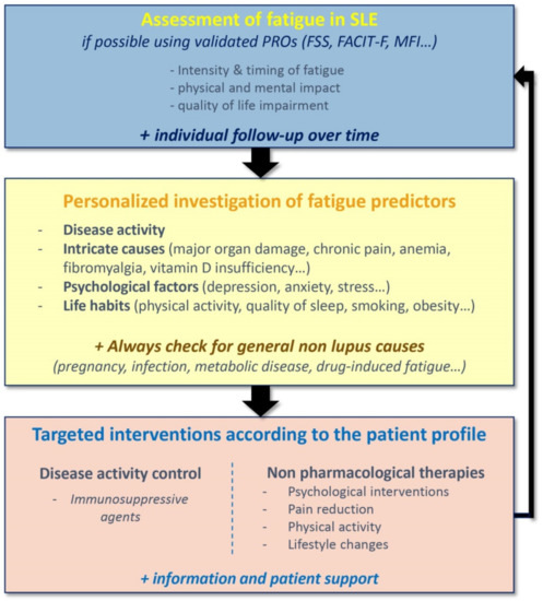 Fatigue in Systemic Lupus Erythematosus: An Update on Its Impact ...