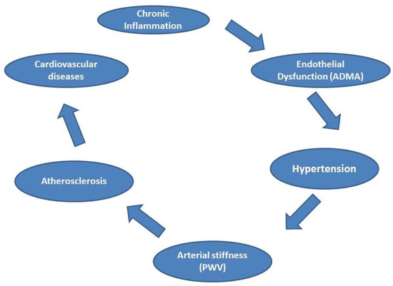 JCM | Topical Collection : (Cardio-)Vascular System in Health and ...