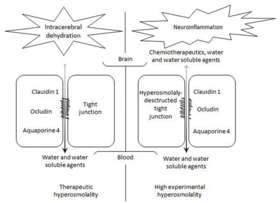 Potentially Detrimental Effects of Hyperosmolality in Patients Treated ...