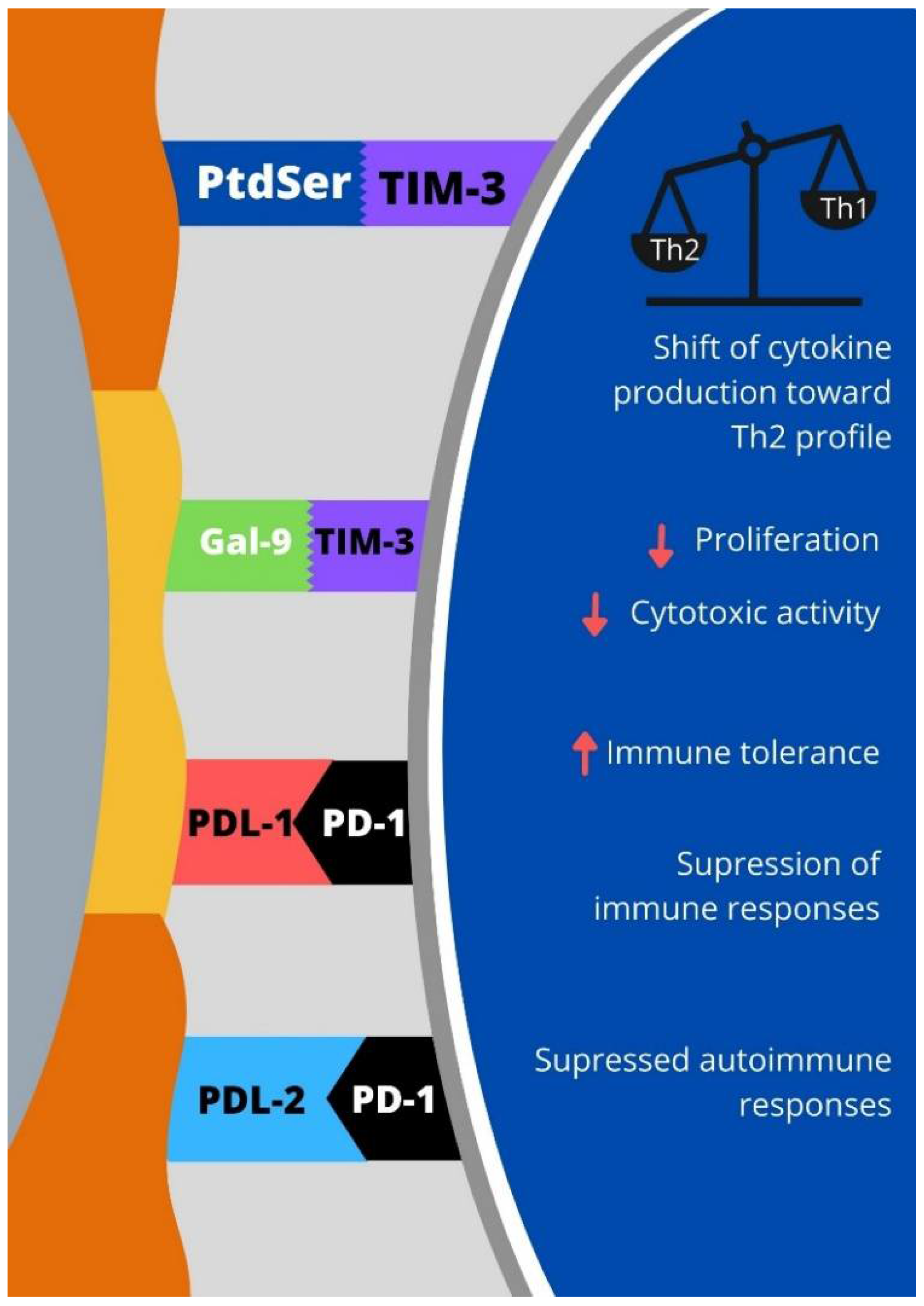 JCM | Free Full-Text | Differences in Immune Checkpoints Expression (TIM-3 and PD-1) on T Cells ...