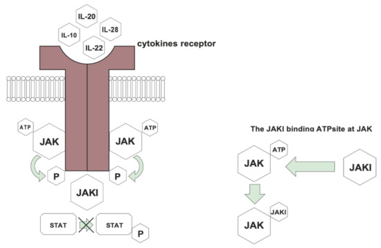 Role of Janus Kinase Inhibitors in Therapy of Psoriasis