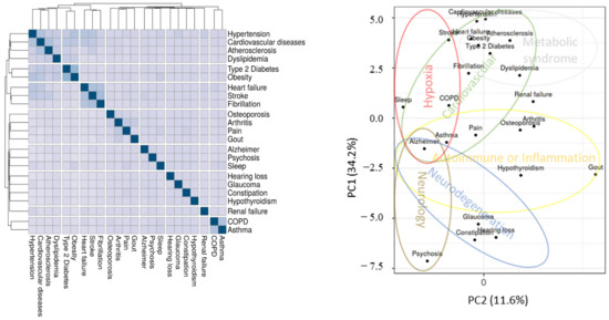 Towards a Consensus on Alzheimer’s Disease Comorbidity?