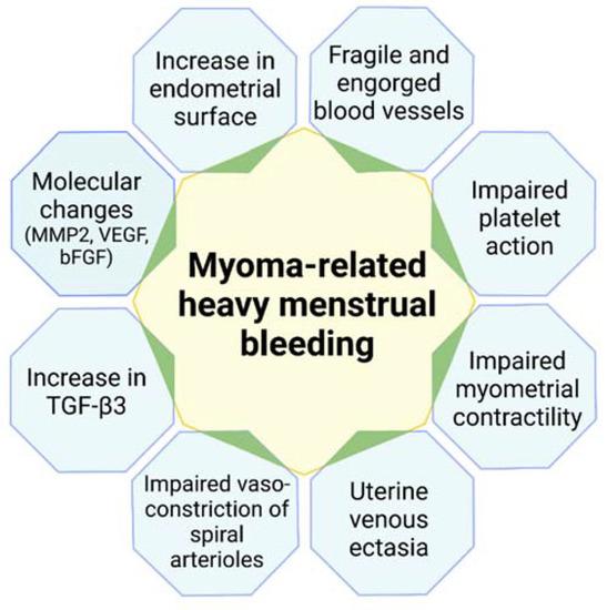 Conservative Management of Uterine Fibroid-Related Heavy Menstrual ...