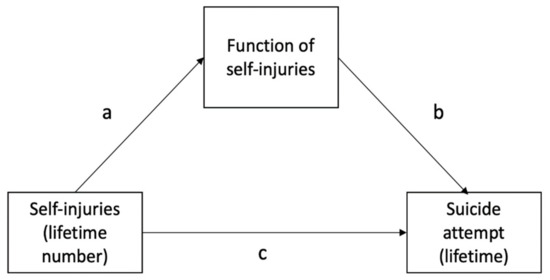 Self-Injuries and Their Functions with Respect to Suicide Risk in ...