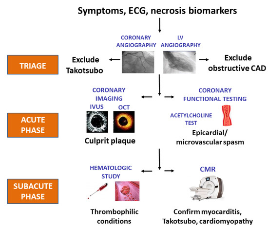 Why the Term MINOCA Does Not Provide Conceptual Clarity for Actionable ...
