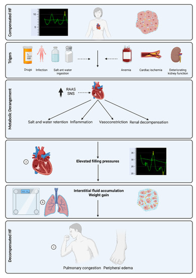 In Search of Clinical Impact: Advanced Monitoring Technologies in Daily ...