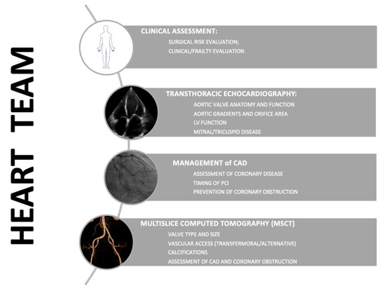 JCM | Free Full-Text | Diagnostic Work-Up of the Aortic Patient: An ...