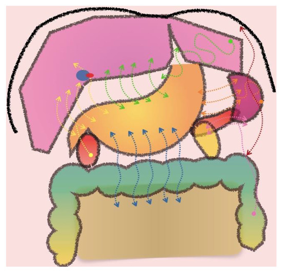 Imaging of Gastric Carcinomatosis
