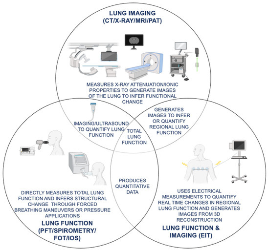 Early Diagnosis and Real-Time Monitoring of Regional Lung Function ...