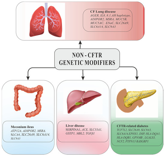 JCM | Free Full-Text | Genetic Modifying Factors of Cystic Fibrosis ...