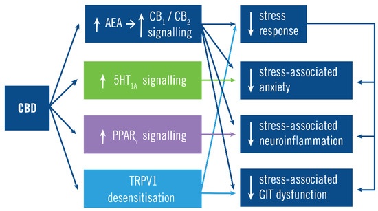 Enhancing Endocannabinoid Control of Stress with Cannabidiol
