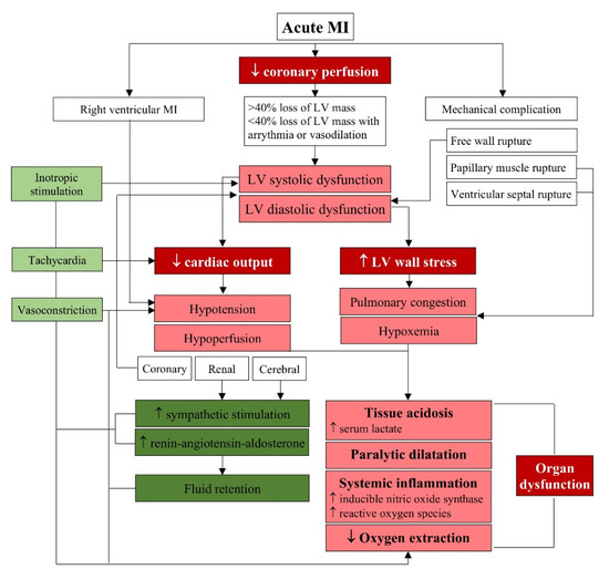 Complicating Acute Myocardial Infarction. Current Status and Unresolved ...