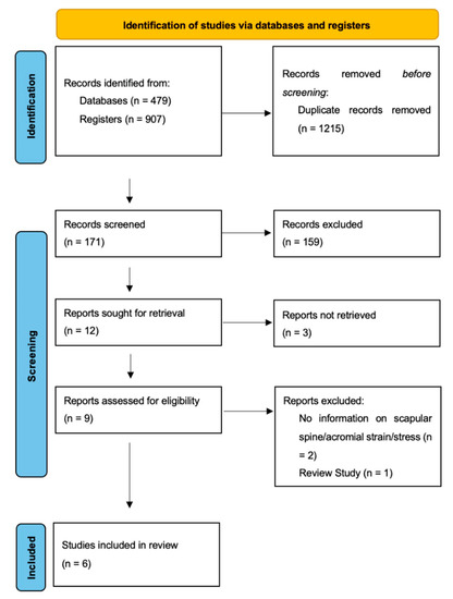 Factors Influencing Acromial and Scapular Spine Strain after Reverse ...