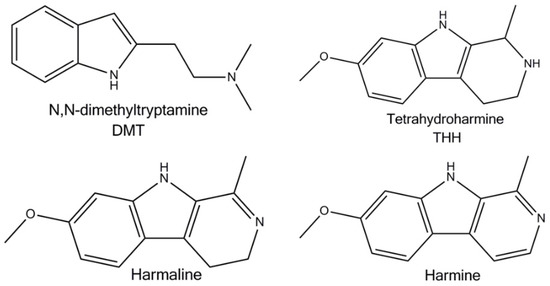 Making Dmt From Mimosa Hostilis