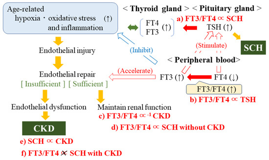 JCM | Free Full-Text | Associations among Ratio of Free ...