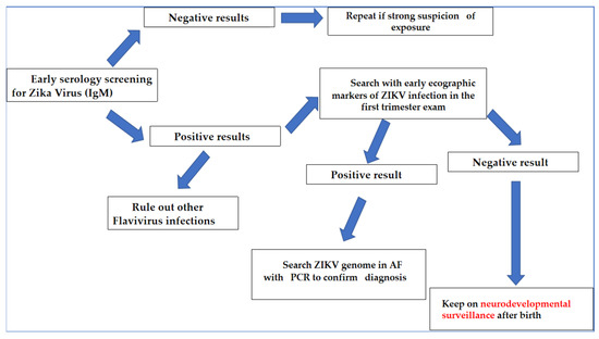 Congenital Zika Syndrome: Genetic Avenues for Diagnosis and Therapy ...