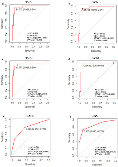 Characteristic Assessment of Angiographies at Different Depths with AS ...