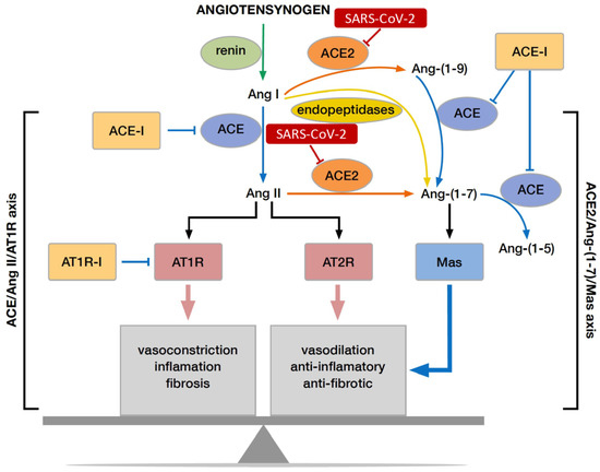 Does the Serum Concentration of Angiotensin II Type 1 Receptor Have an ...