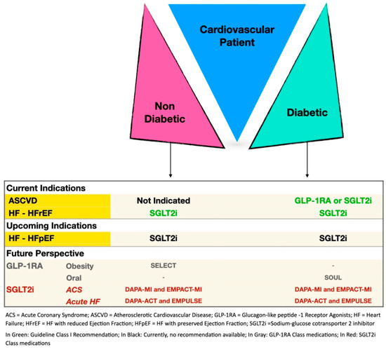 The Impact of Novel Anti-Diabetic Medications on CV Outcomes: A New ...