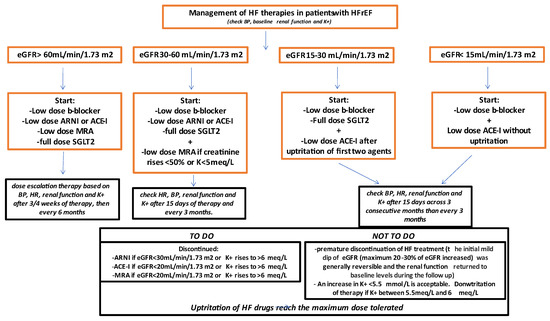 JCM | Free Full-Text | The Treatment of Heart Failure in Patients with ...