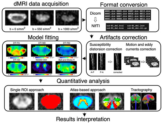Jcm Special Issue Diffusion Weighted Magnetic Resonance Imaging
