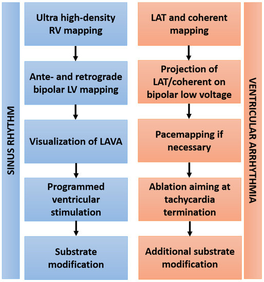 Combination of High-Density and Coherent Mapping for Ablation of ...