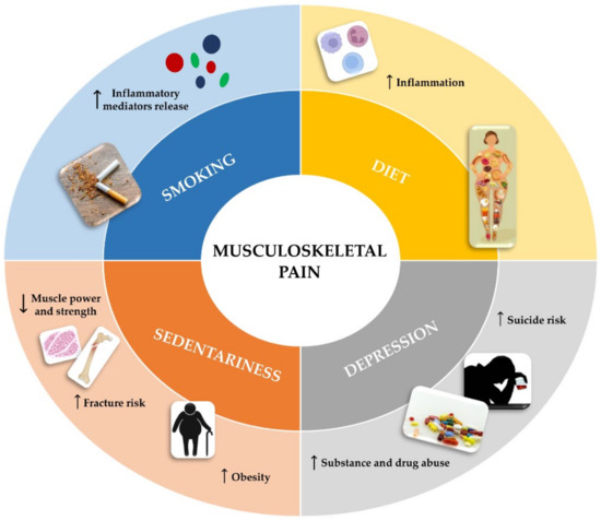 Chronic Pain in Musculoskeletal Diseases: Do You Know Your Enemy?