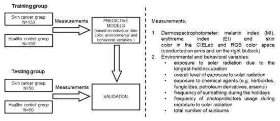 Rgb Color Code For Human Skin Cancer - Infoupdate.org