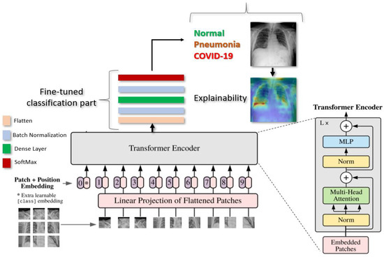 Explainable Vision Transformers and Radiomics for COVID-19 Detection in ...