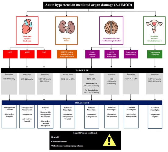 The Management of Hypertensive Emergencies—Is There a “Magical ...