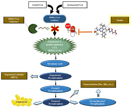 Implication of Lipids in Calcified Aortic Valve Pathogenesis: Why Did ...