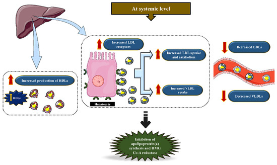 JCM | Free Full-Text | Implication of Lipids in Calcified Aortic Valve ...