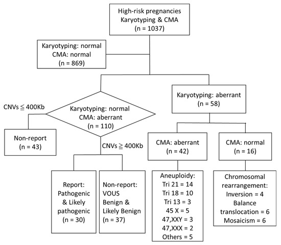 Prenatal Diagnosis Using Chromosomal Microarray Analysis in High-Risk ...