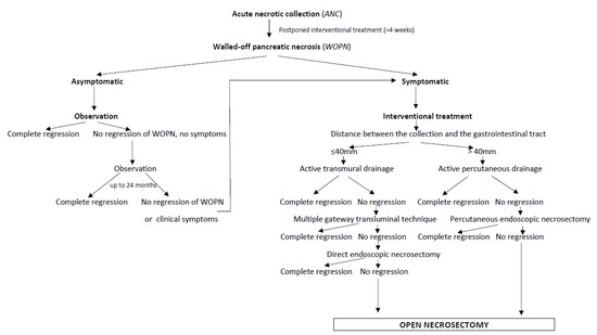 Percutaneous Endoscopic Necrosectomy—A Review of the Literature
