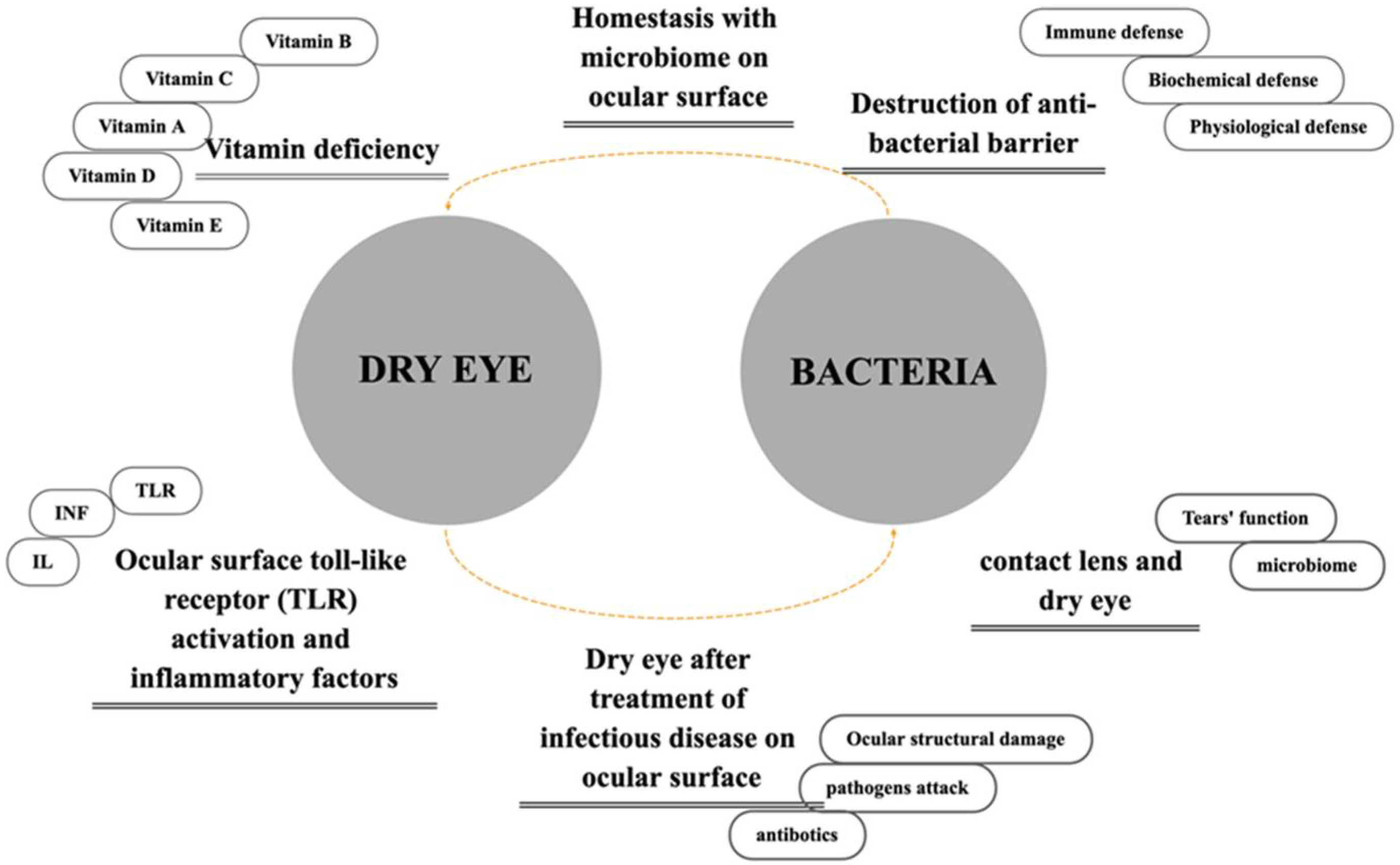JCM | Free Full-Text | Bacteria and Dry Eye: A Narrative Review
