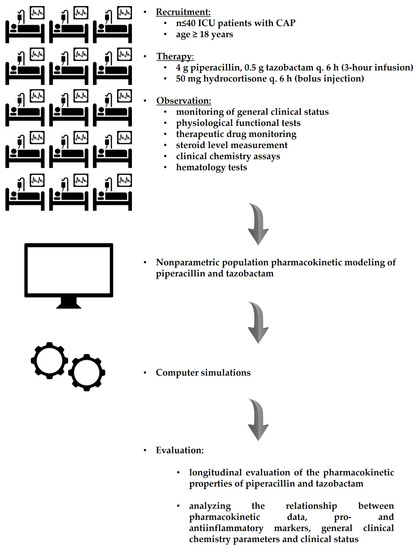 Assessment of Antibiotic Pharmacokinetics, Molecular Biomarkers and ...