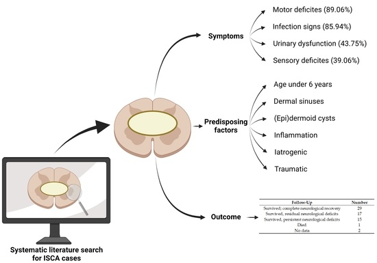 JCM | Free Full-Text | What Is Currently Known about Intramedullary Spinal Cord Abscess among ...
