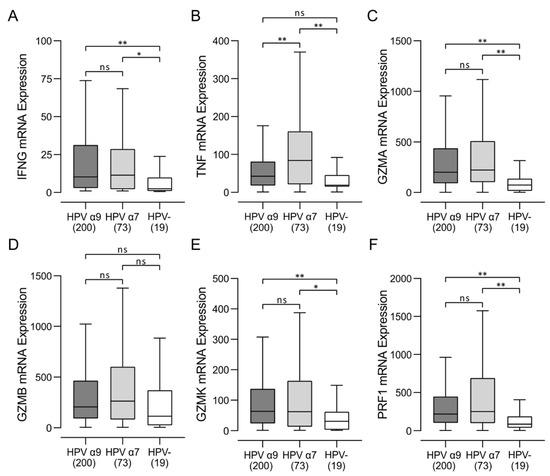 HPV-Positive and -Negative Cervical Cancers Are Immunologically Distinct