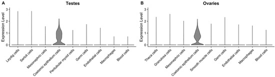 MYRF: A New Regulator of Cardiac and Early Gonadal Development—Insights ...