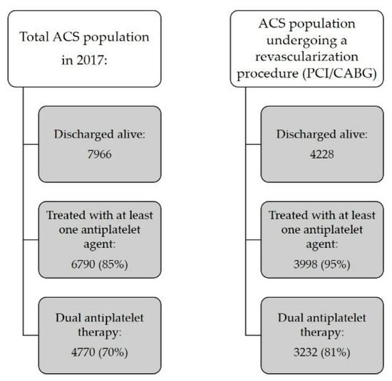 Antiplatelet Therapy during the First Year after Acute Coronary Syndrome in a Contemporary ...