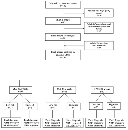 Prediction of Neonatal Respiratory Morbidity Assessed by Quantitative ...