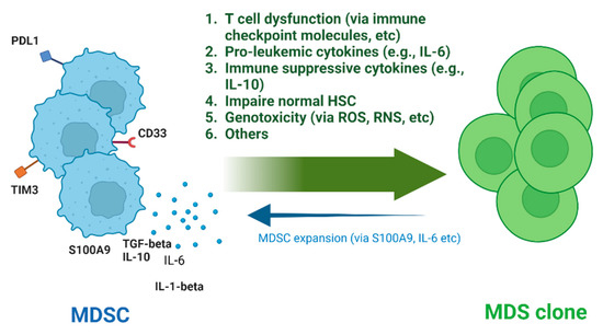 JCM | Free Full-Text | Myeloid-Derived Suppressor Cells: New Insights ...