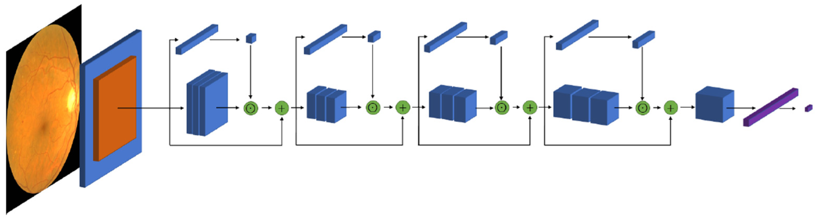 A New Deep Learning Algorithm with Activation Mapping for Diabetic ...